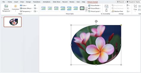 The Best Guide To Crop Pictures In Powerpoint Perfectly Myexcelonline