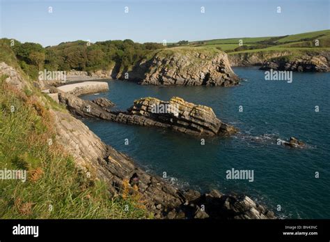 Stackpole Quay Pembrokeshire Coast National Park Wales Uk Europe