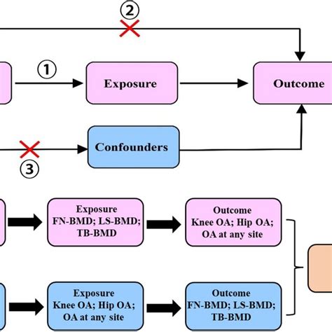 Workflow Of Bi Directional Mr Analysis A The Fundamental Idea Of Mr Download Scientific