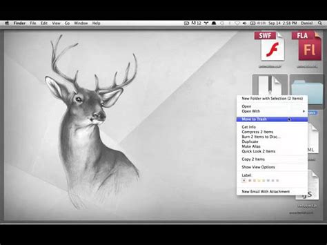 Quick Tip Use SWFObject To Embed Your Flash Content Envato Tuts