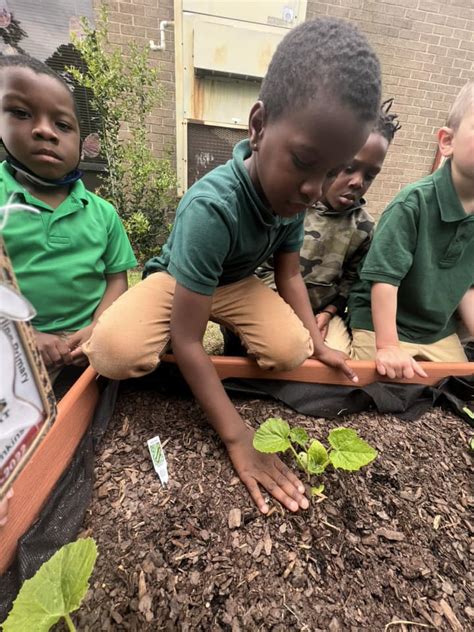 Easterling Primary School