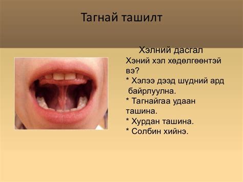 хэл заслын дасгалууд1