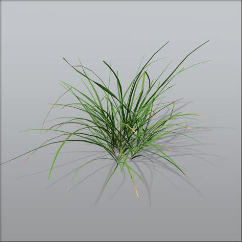 Grasses Exterior Architectural 3d Model