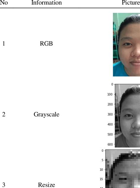 RGB Grayscale And Resize Image Results Download Scientific Diagram