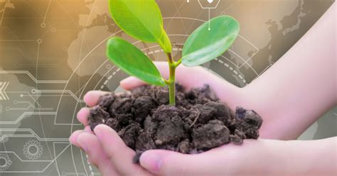 Australian Plant Phenomics Network Federating Data How Appn Gets