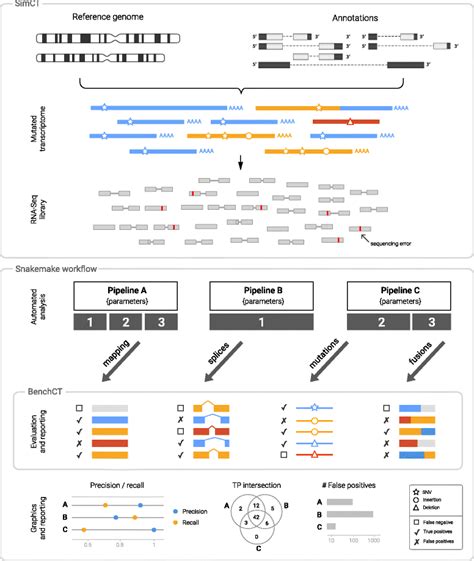 Overview Of The Simba Benchmarking Procedure A Benchmarking Pipeline Download Scientific