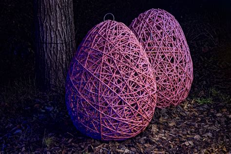 무료 이미지 미술 머리 식물 제비꽃 잔디 Tints And Shades 마젠타 원 강청색 무늬 양모 장식