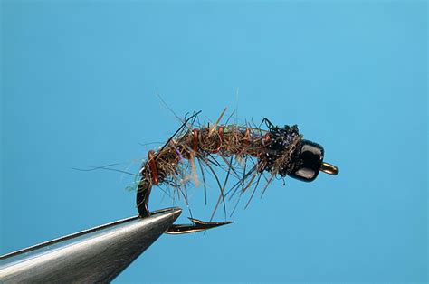Lint Bug