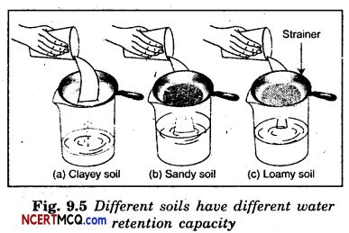 Online Education For Soil Class Extra Questions And Answers Science Chapter NCERT MCQ