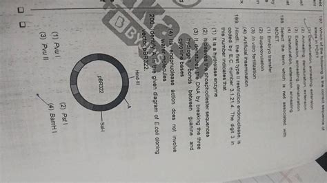 Identify A In The Given Diagram Of Ecoli Cloning Vector Pbr322 Filo