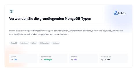Mongodb Grunddatentypen Verwenden Anleitung Labex