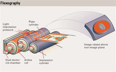 Traditional Printing Processes In Corrugated Carton Manufacturing Khobre Mihan Co