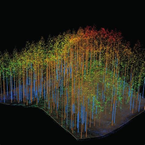 Example Of Recorded Tree Positions Along With Tree Sizes As Measured By Download Scientific