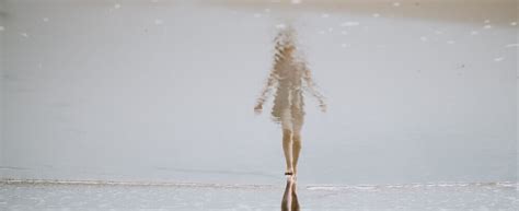 Reflexion Sogehtsonline Physik And Mathe Online Lernen