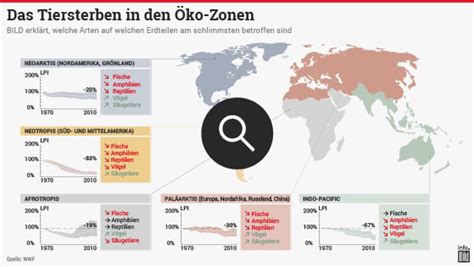Täglich Bis Zu 14 Stunden Sex Diese Maus Rammelt Bis Zum Umfallen News Bild De