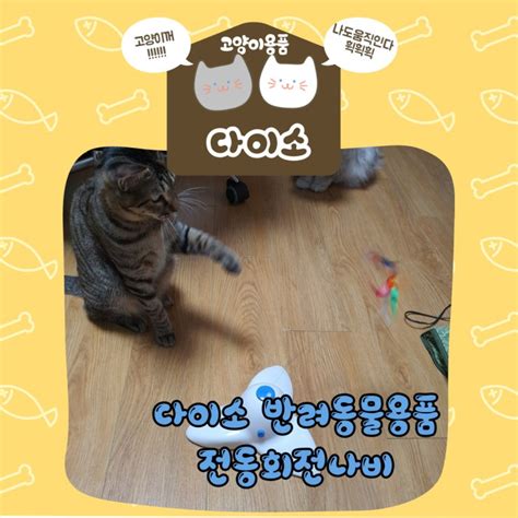 다이소 고양이장난감 전동회전나비 품번 1026554 노묘도 움직인다 네이버 블로그