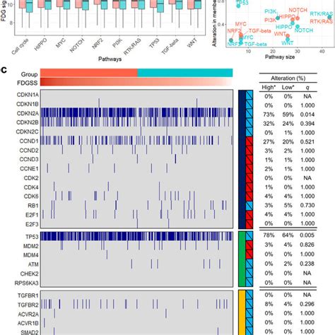 Clustered Boxplot Showing A Comparison Of Fdg Ss With 10 Oncogenic