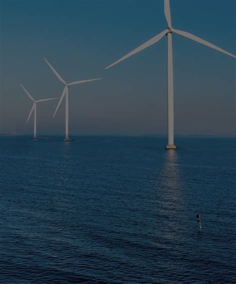 Esg Performance 세아제강