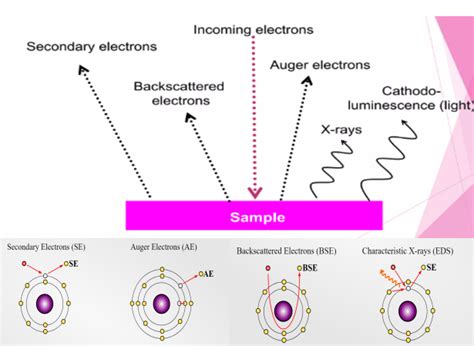 Scanning Electron Microscope Sem Working Components And Applications Iplts
