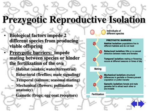 Prezygotic Isolation