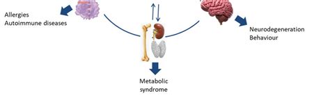 Host Microbiota Interactions And Their Relationship With Disease Download Scientific Diagram
