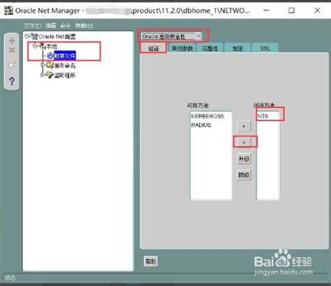 Oracle Ora 12638：身份证明检索失败 旧路人 博客园
