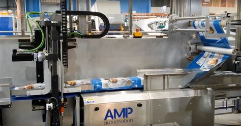 Flow Wrappers Amp Automation