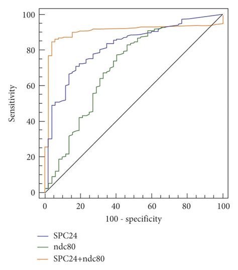 roc curve on the validation set download scientific diagram
