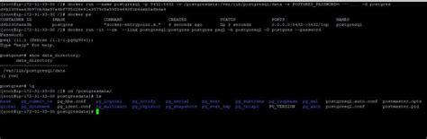 Deploying Postgresql On A Docker Container Dinfratechsource