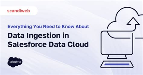 Data Ingestion In Salesforce Data Cloud Practical Guide Scandiweb