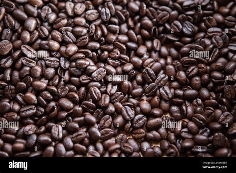 Kopi Luwak Coffee Stock Photo - Alamy