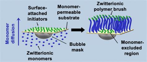 Surface Initiated Passing Through Zwitterionic Polymer Brushes For Salt