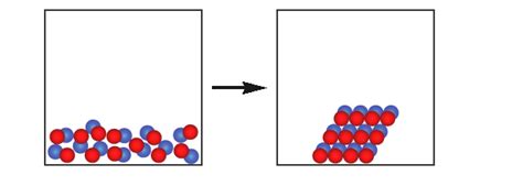 Solved In The Illustration N Is Color Coded As Blue And O