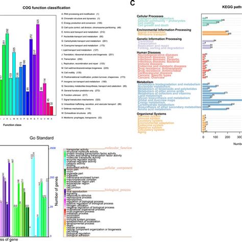Phenotype Classification Of Putative Pathogenicity Genes In V