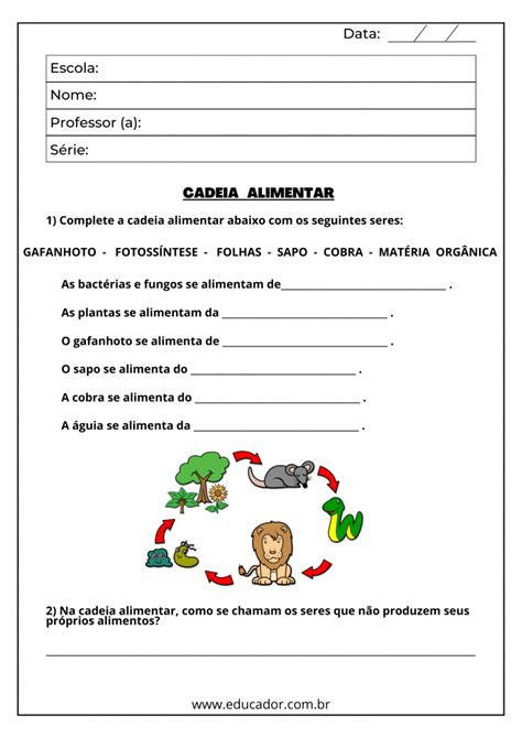 Atividades Sobre Cadeia Alimentar Para Ano Educador