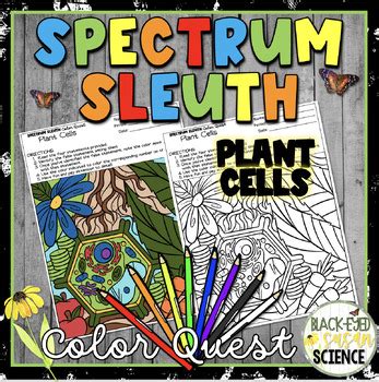 PLANT CELLS Spectrum Sleuth Color Quest Color By Code TPT
