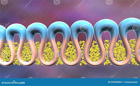 Interactions Of Synthetic Polymers With Cell Membranes And Model Membrane System Stock