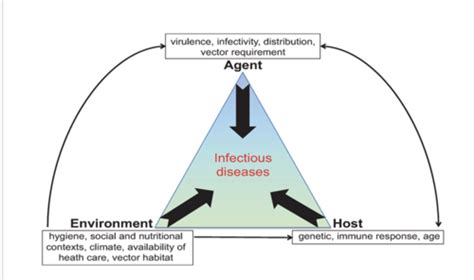 Cm Gi 25and26 Pre Cbl Gi Pathogens Flashcards Quizlet