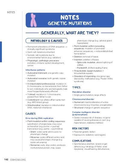 genetic mutations notes diagrams and illustrations osmosis