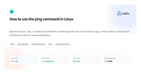 How To Use The Ping Command In Linux Labex