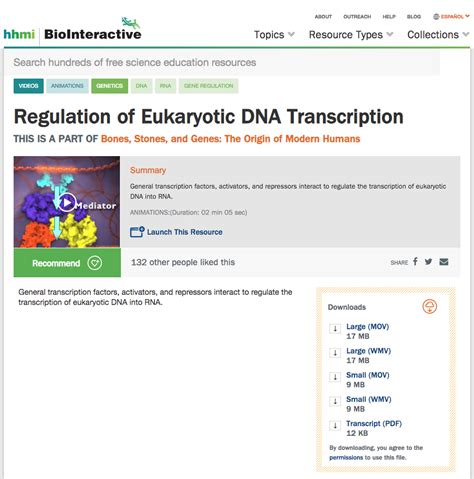 Regulation Of Eukaryotic Dna Transcription Instructional Video For 9th 12th Grade Lesson Planet