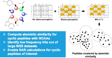 Identification Of Macrocyclic Peptide Families From Combinatorial