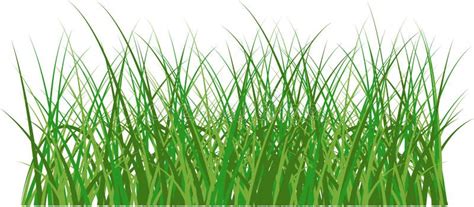 Grass Silhouette Seamless Pattern Green Grass Meadow Border Vector