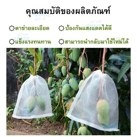 ชุดตาข่ายดักแมลง ชุดตาข่ายกันแมลง ชุดตาข่ายหุ้มผักผลไม้ Thegracestore Thaipick