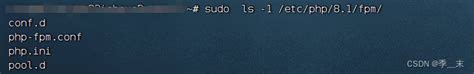Ubuntu安装php81 Csdn博客