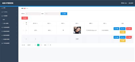 java毕设项目商场vip管理系统（java vue mybatis maven mysql） csdn博客