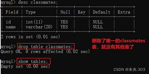 【mysql系列】第一节mysql数据库基础数据库的客户端和服务端 Csdn博客