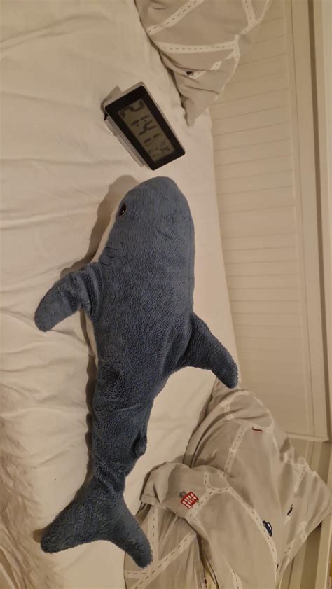 Blahaj looking at time : r/BLAHAJ