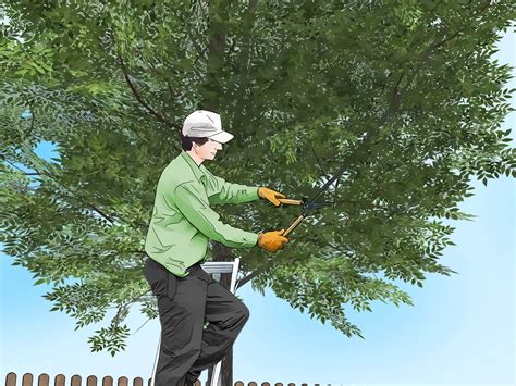 3 Ways To Keep Birds Out Of Trees WikiHow