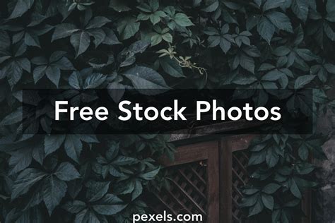 Crt Monitor Texture Photos Download The Best Free Crt Monitor Texture